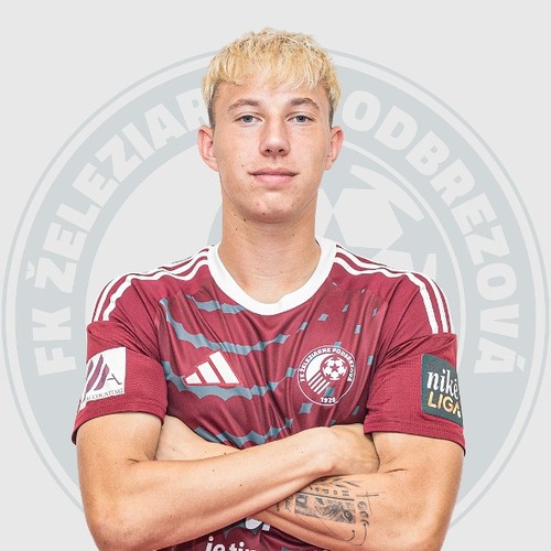 Radek Siler :: 2025/2026 - Podbrezová - Ficha e Estatísticas do Jogador