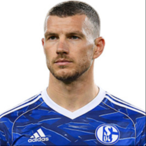 Edin Dzeko :: 2025/2026 - Schalke 04 - Player Profile & Stats