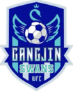 Gangjin Swans WFC (Women) 2026 Matches | Schedule and Results